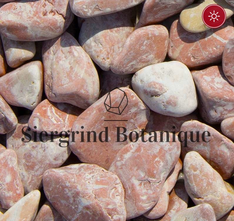 Siergrind / Split - Siergrind Botanique